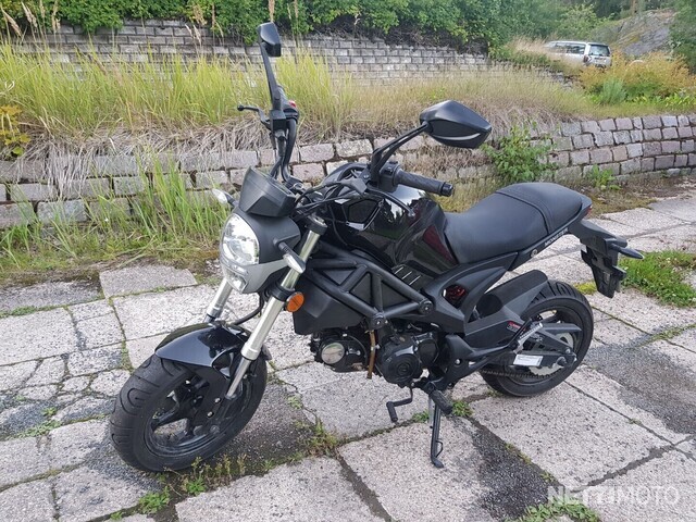 Dynamic Monster 50 50 cm³ 2019 - Raisio - Mopo - Nettimoto