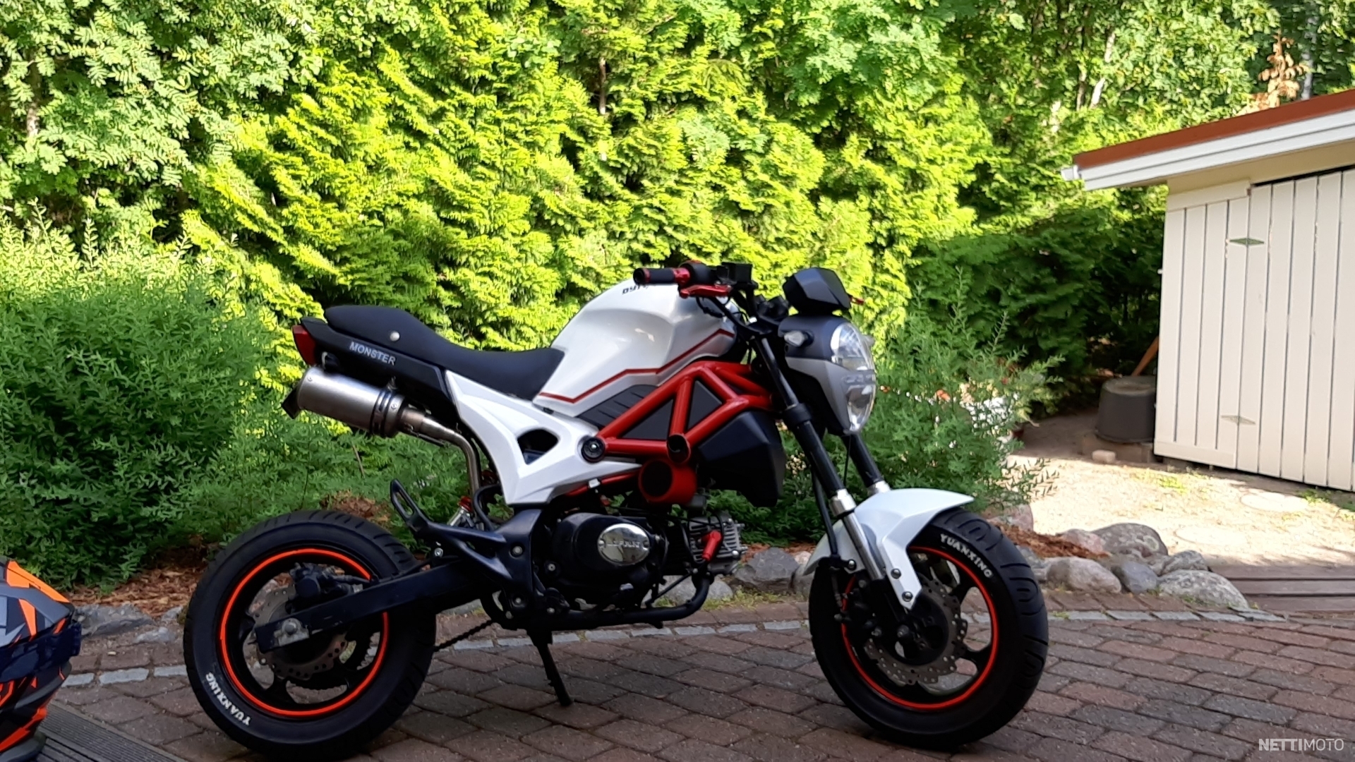 Dynamic Monster 50 cm³ 2018 - Nastola - Moped - Nettimoto