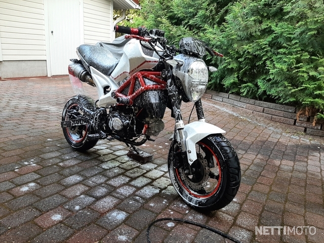 Dynamic Monster 50 cm³ 2018 - Nastola - Moped - Nettimoto