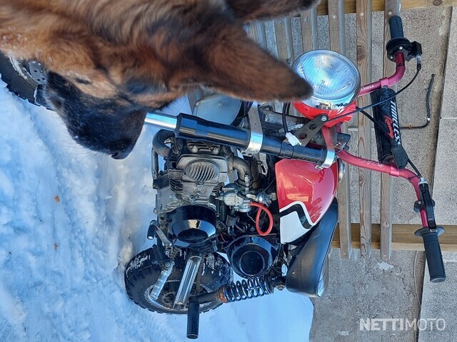 Honlei 50 cc 50 cm³ 2004 - Hanko - Mopo - Nettimoto