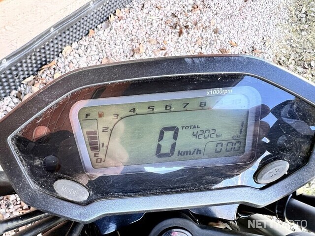 Dynamic Monster 50 50 cm³ 2019 - Nummela - Moped - Nettimoto