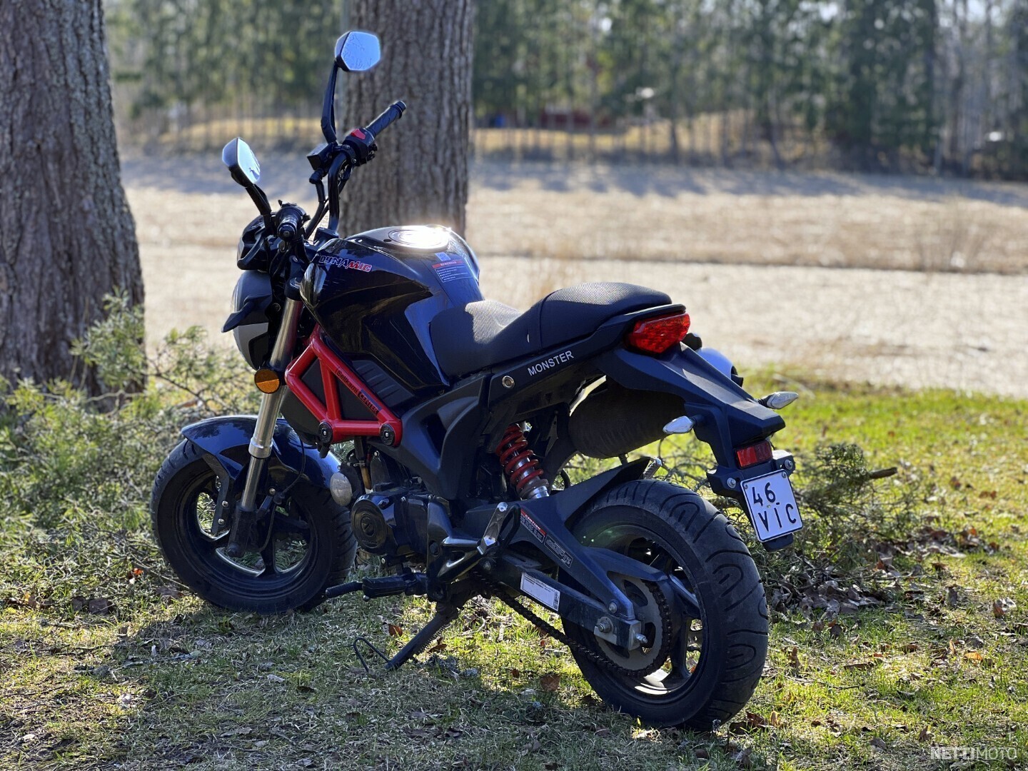 Dynamic Monster 50 50 cm³ 2019 - Nummela - Moped - Nettimoto