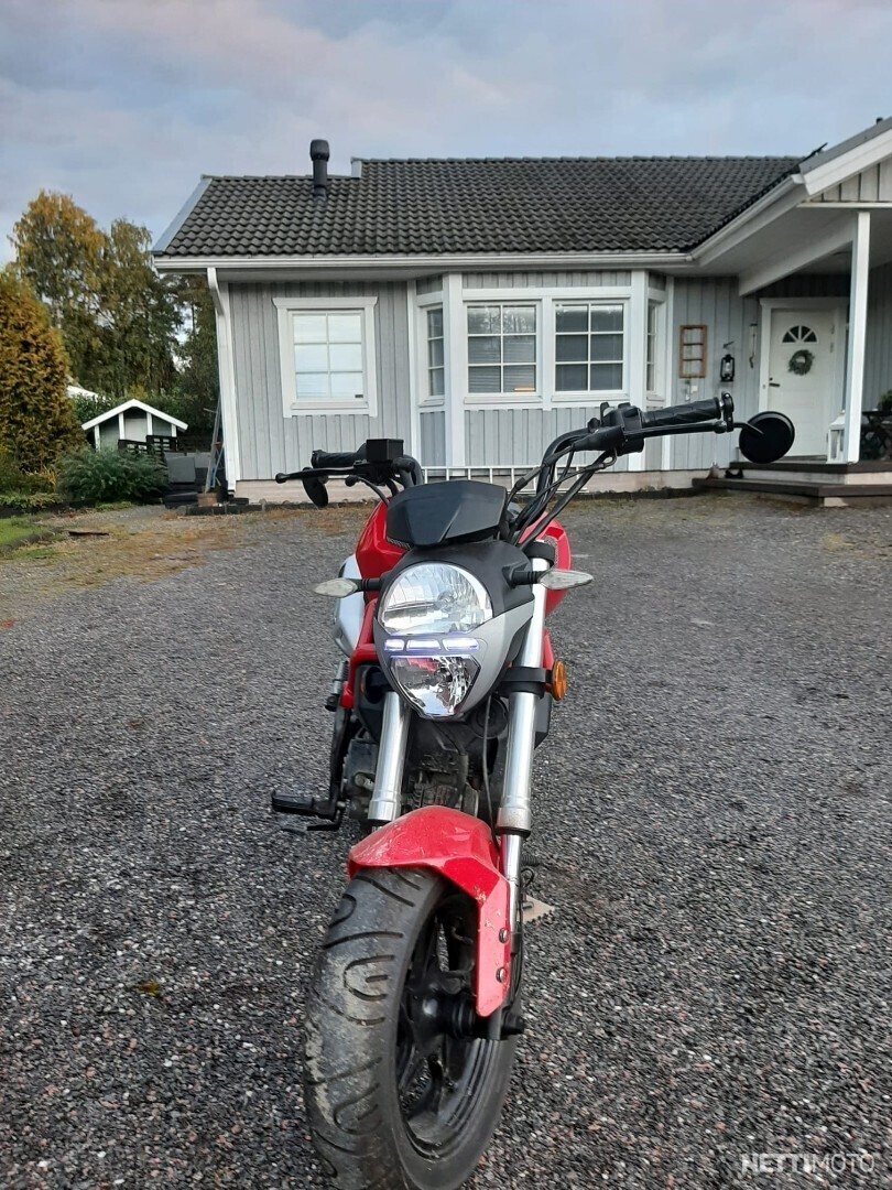 Dynamic Monster 50 cm³ 2019 - Turku - Moped - Nettimoto