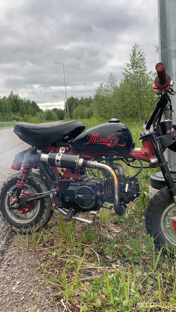 Skyteam Manki honlei manki 125yx 125 cm³ 2010 - Savonlinna - Moped ...
