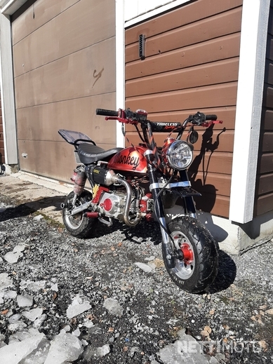 Skyteam Manki 50 cm³ 2002 - Tampere - Mopo - Nettimoto