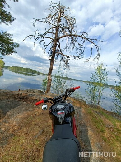 Dynamic Monster 50 50 cm³ 2019 - Mänttä-Vilppula - Mopo - Nettimoto