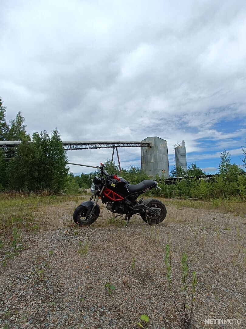 Dynamic Monster 50 50 cm³ 2019 - Mänttä-Vilppula - Mopo - Nettimoto