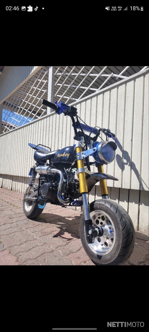 Honlei 50 cc 50 cm³ 2004 - Espoo - Mopo - Nettimoto