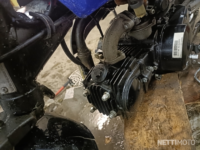 Baotian Monkey 50 cm³ 2008 - Oulainen - Mopo - Nettimoto