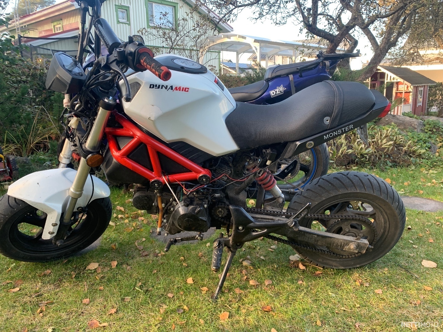 Dynamic Monster 50 50 cm³ 2019 - Tuusula - Mopo - Nettimoto