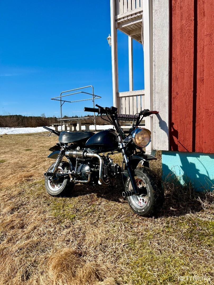 Zhenua Monkey 50 cm³ 2019 - Kaavi - Mopo - Nettimoto