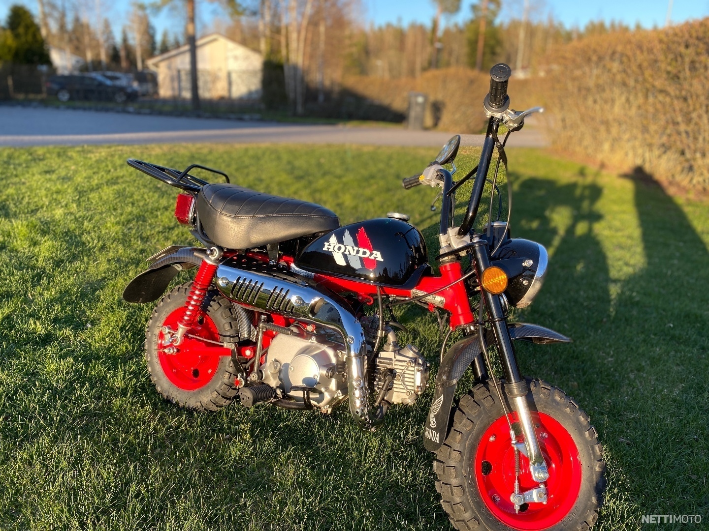Honda Monkey 50 50 cm³ 1990 - Rusko - Mopo - Nettimoto