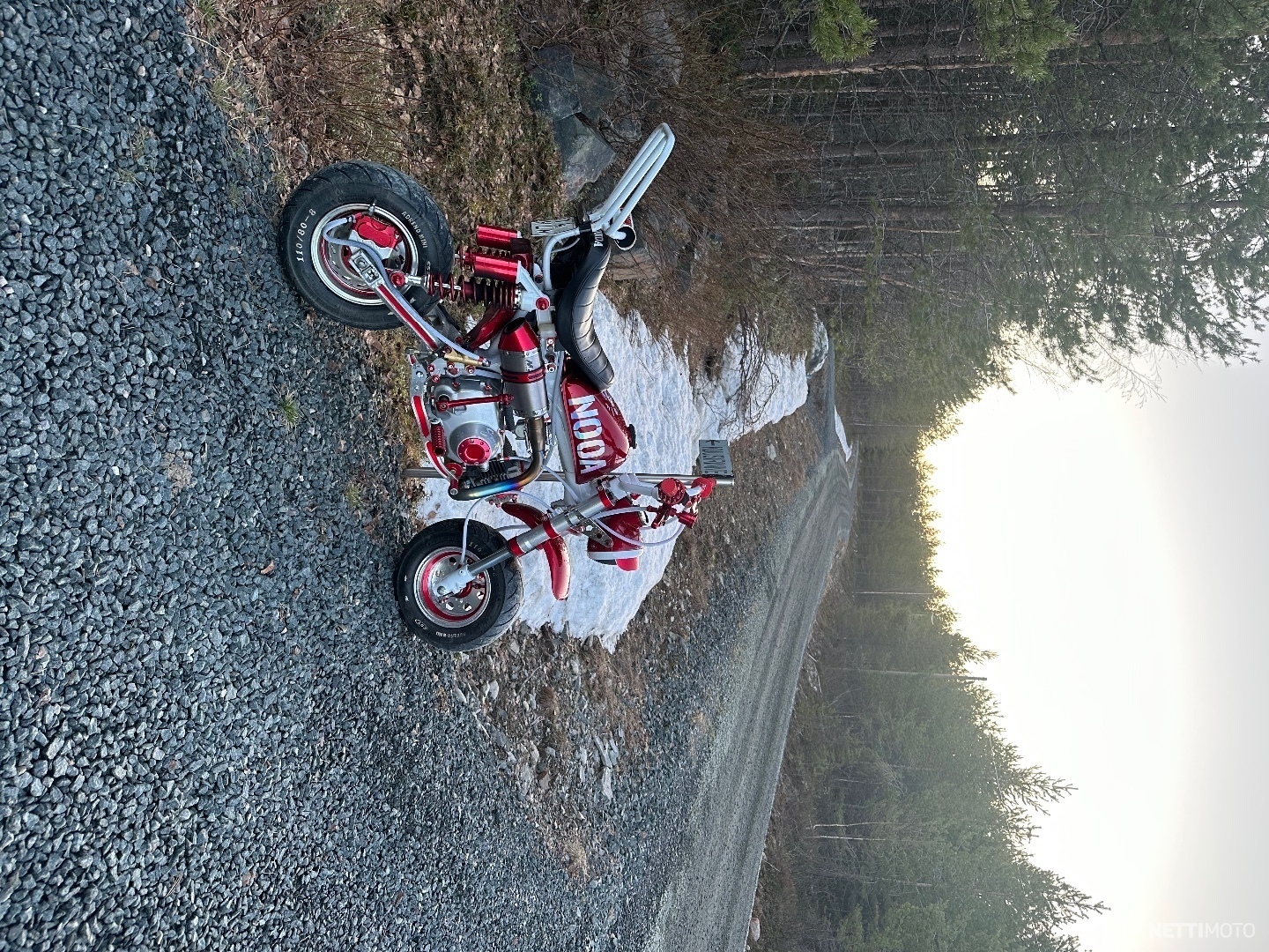 Honda Monkey 50 50 cm³ 1989 - Kuusamo - Mopo - Nettimoto