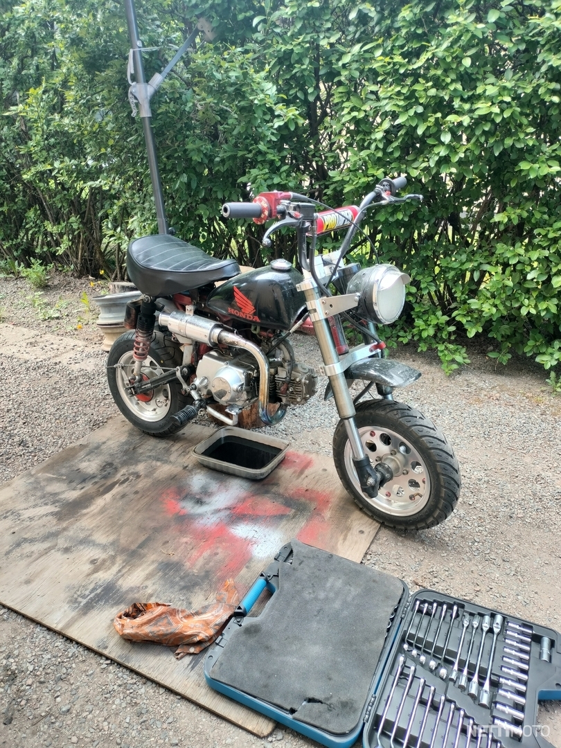 Skyteam Manki zhenhua monkey 110 cm³ 2019 - Tampere - Moped - Nettimoto