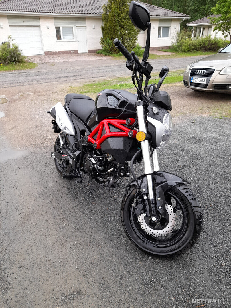 Dynamic Monster 50 50 cm³ 2020 - Pieksämäki - Mopo - Nettimoto