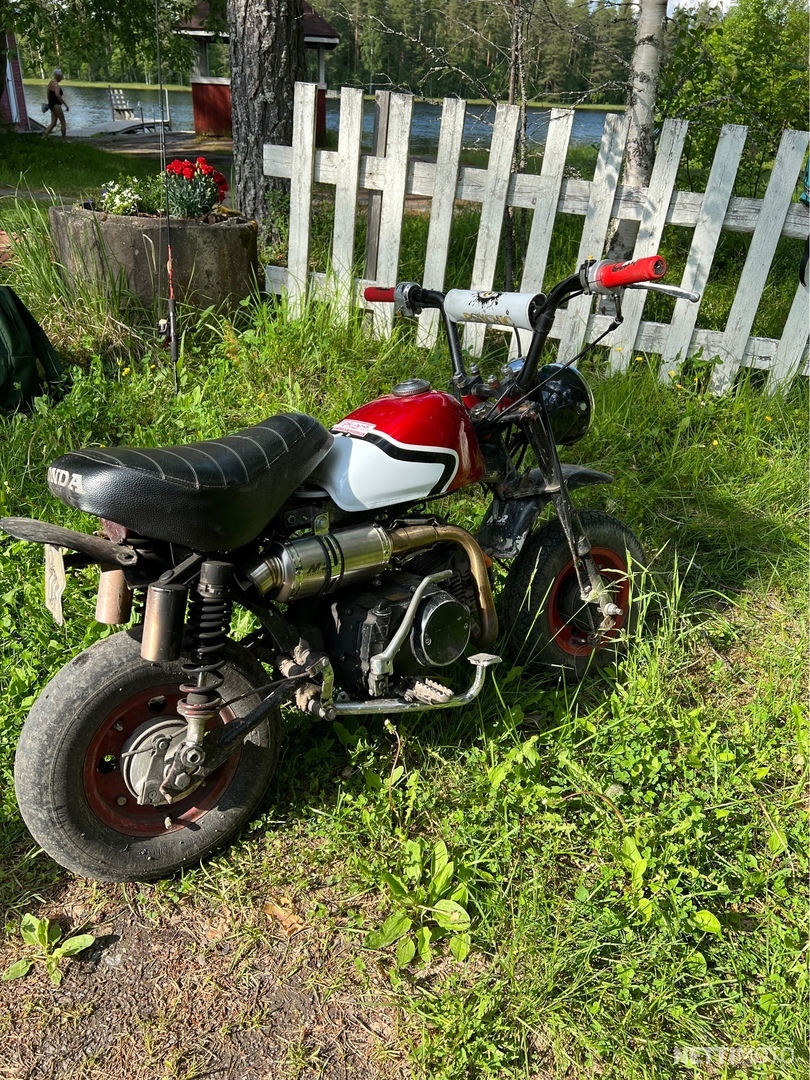 Honda Monkey 50 cm³ 1998 - Alavieska - Mopo - Nettimoto