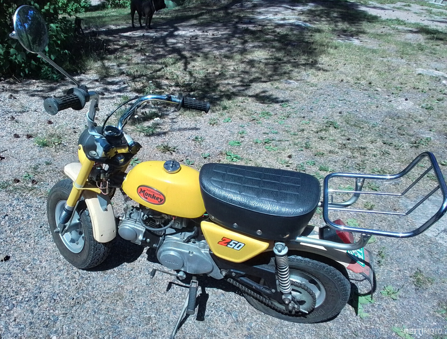 Honda Monkey 50 Z50J 50 cm³ 1977 - Sipoo - Mopo - Nettimoto