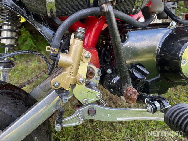 Honda Monkey 50 cm³ 1989 - Kaarina - Moped - Nettimoto