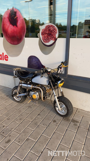 Honlei 50 cc 50 cm³ 2008 - Lohja - Mopo - Nettimoto