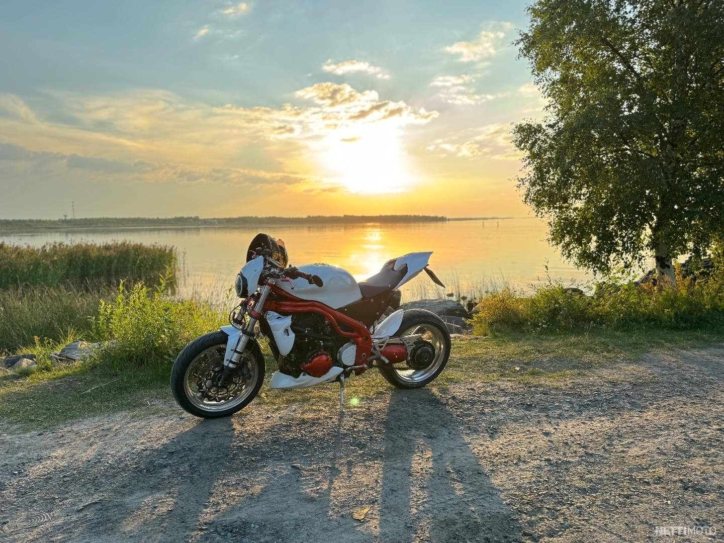Triumph Speed Triple 950 cm³ 2002 - Kempele - Motorcycle - Nettimoto