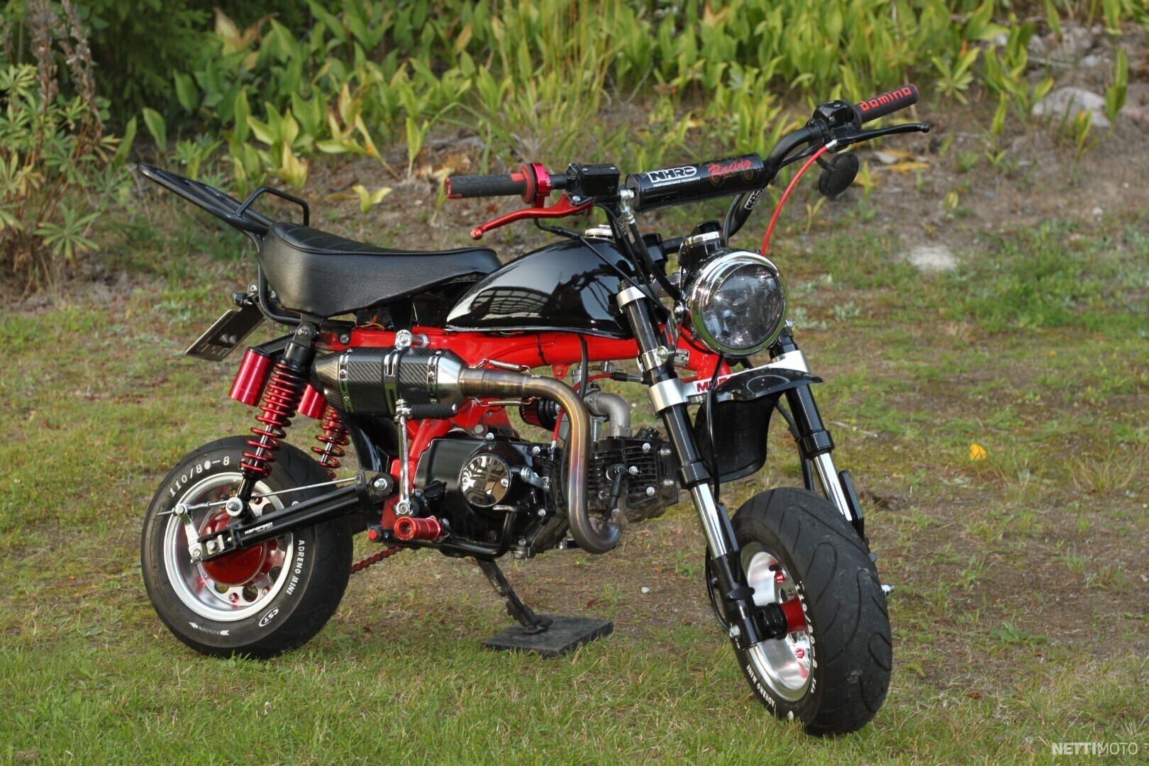 Honda Monkey 50 cm³ 1983 - Iitti - Mopo - Nettimoto