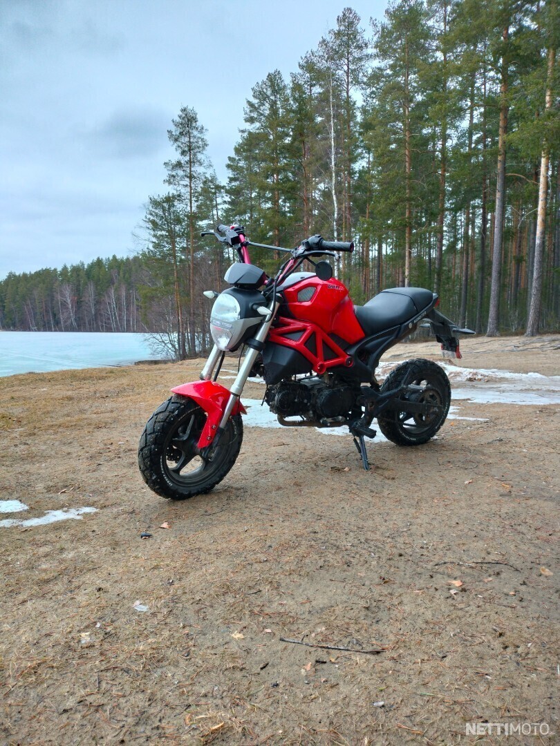 Dynamic Monster 50 125 cm³ 2020 - Liperi - Moped - Nettimoto