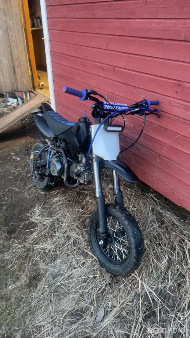 Pitpro Standard 125 cm³ 2001 - Lohja - Mopo - Nettimoto