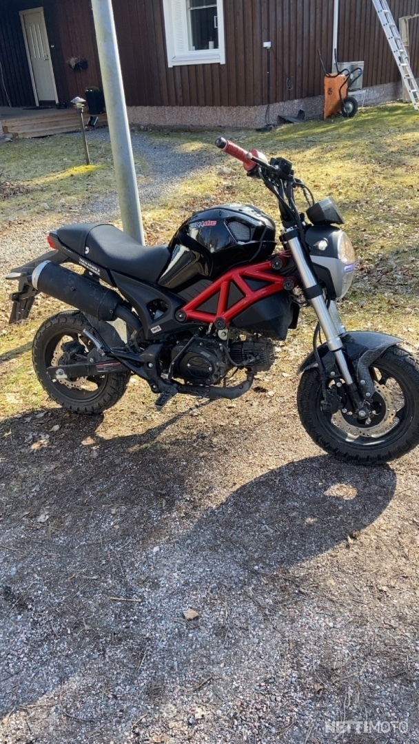 Dynamic Monster 50 cm³ 2022 - Tuusula - Mopo - Nettimoto