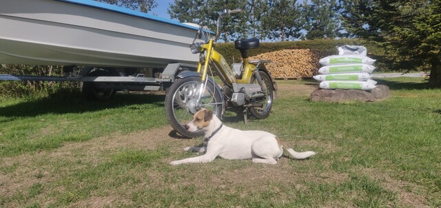 Solifer Automat Runkotankki 50 cm³ 1977 - Säkylä - Mopo - Nettimoto