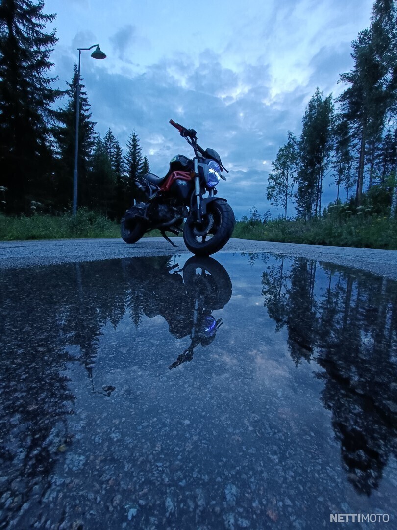 Dynamic Monster Arvostelut motosta - Lue käyttäjien motoarvostelut ...